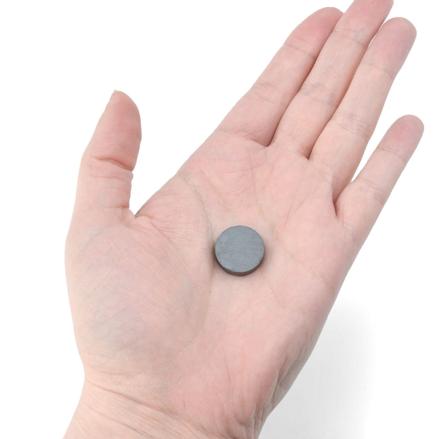 Eisco - Ceramic Disc Magnet 18x6mm - Durable Magnetic Tool for Scienti ...