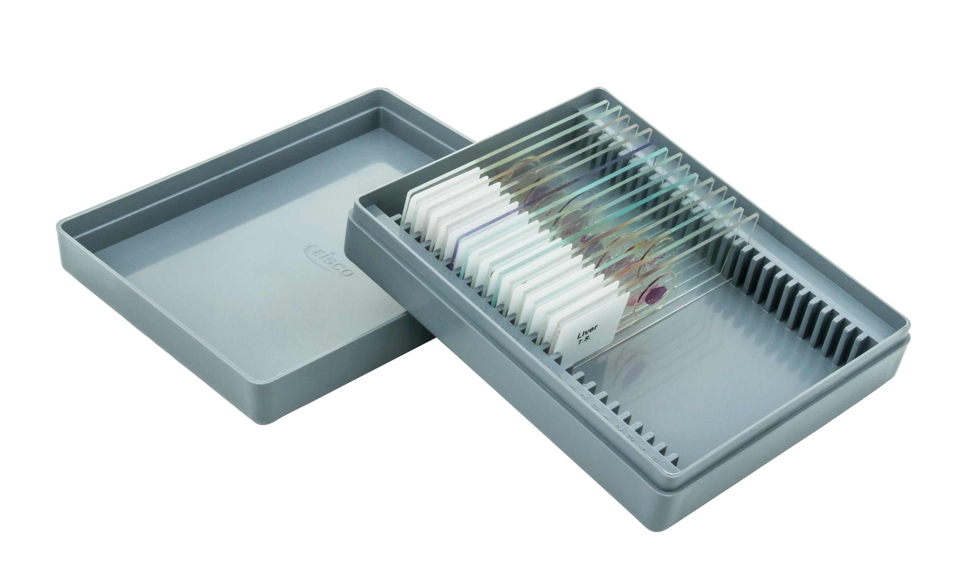 Microscope Slide Set Human Tissue - Beginner Set of 15. — Eisco Labs