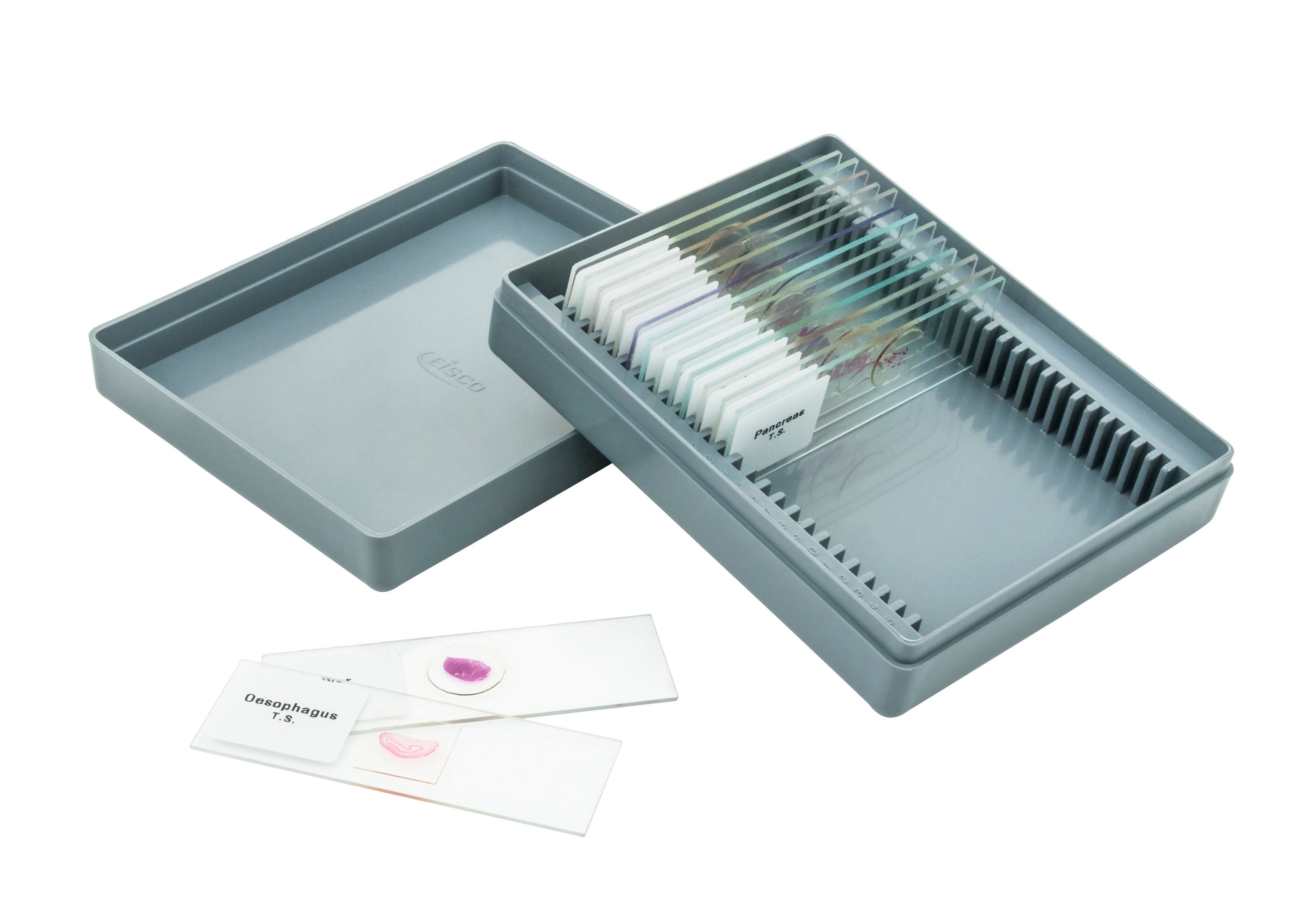 Microscope Slide Set Human Tissue - Beginner Set of 15. — Eisco Labs