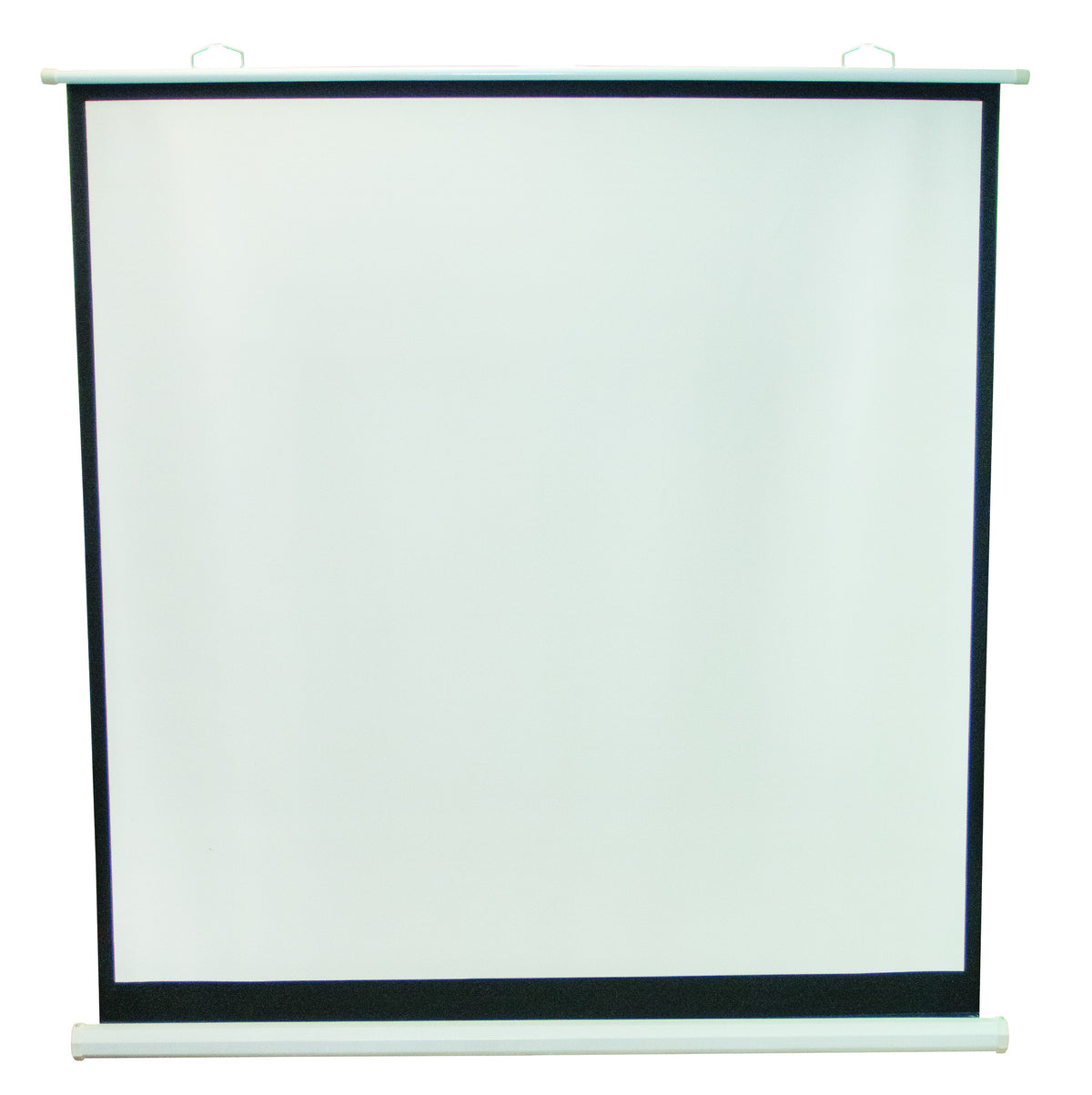 Projection Screen 60 x 60" — Eisco Labs