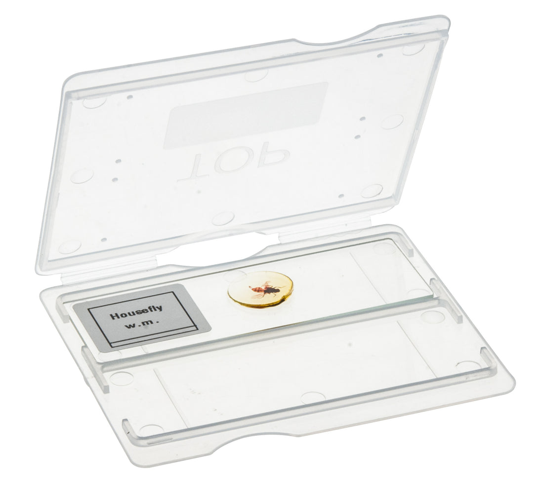 Slide Mailer - 2 slides — Eisco Labs