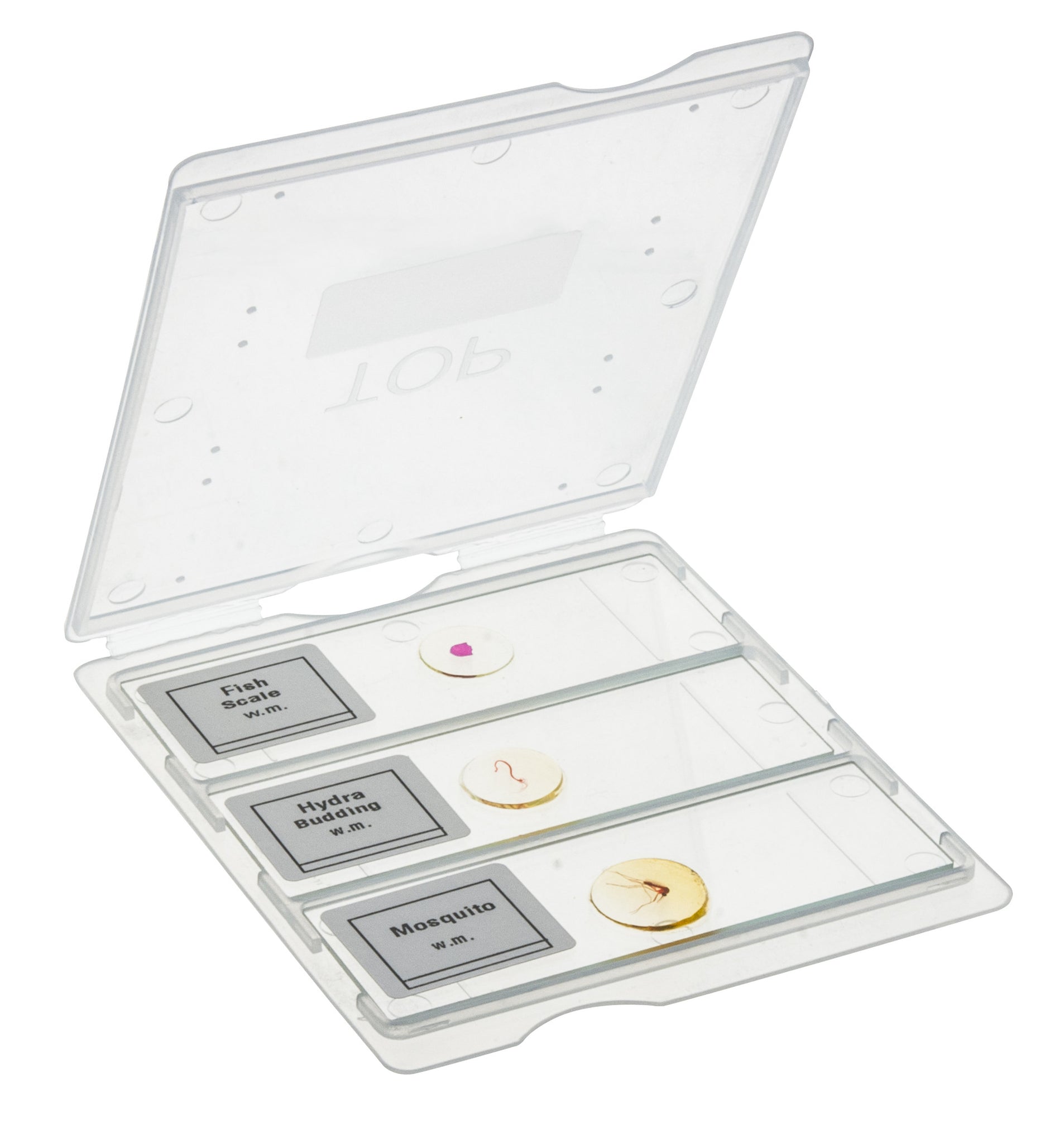 Slide Mailer - 3 slides — Eisco Labs