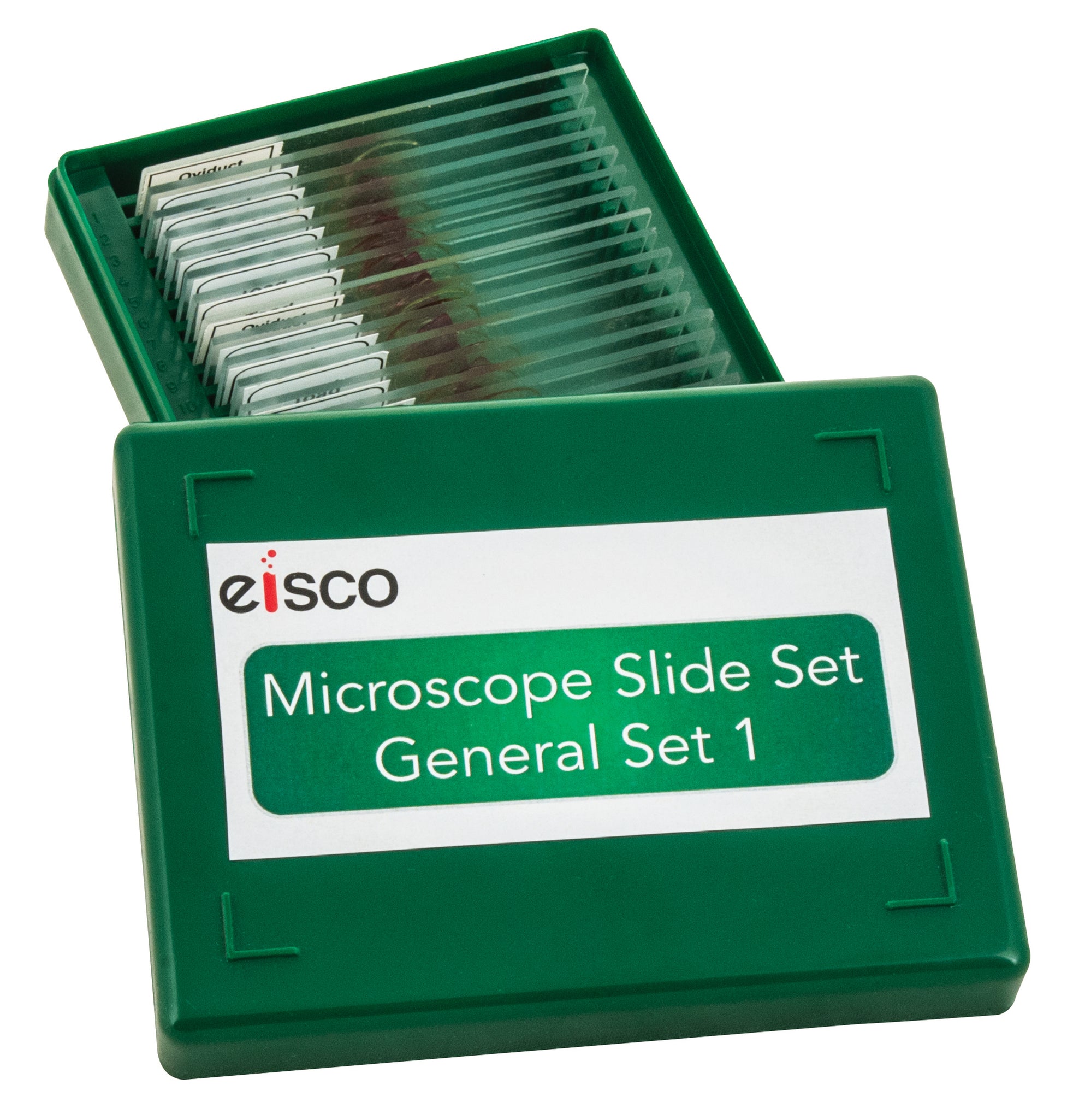 Microscope Slide Set - General Set No. I, Set of 25 — Eisco Labs