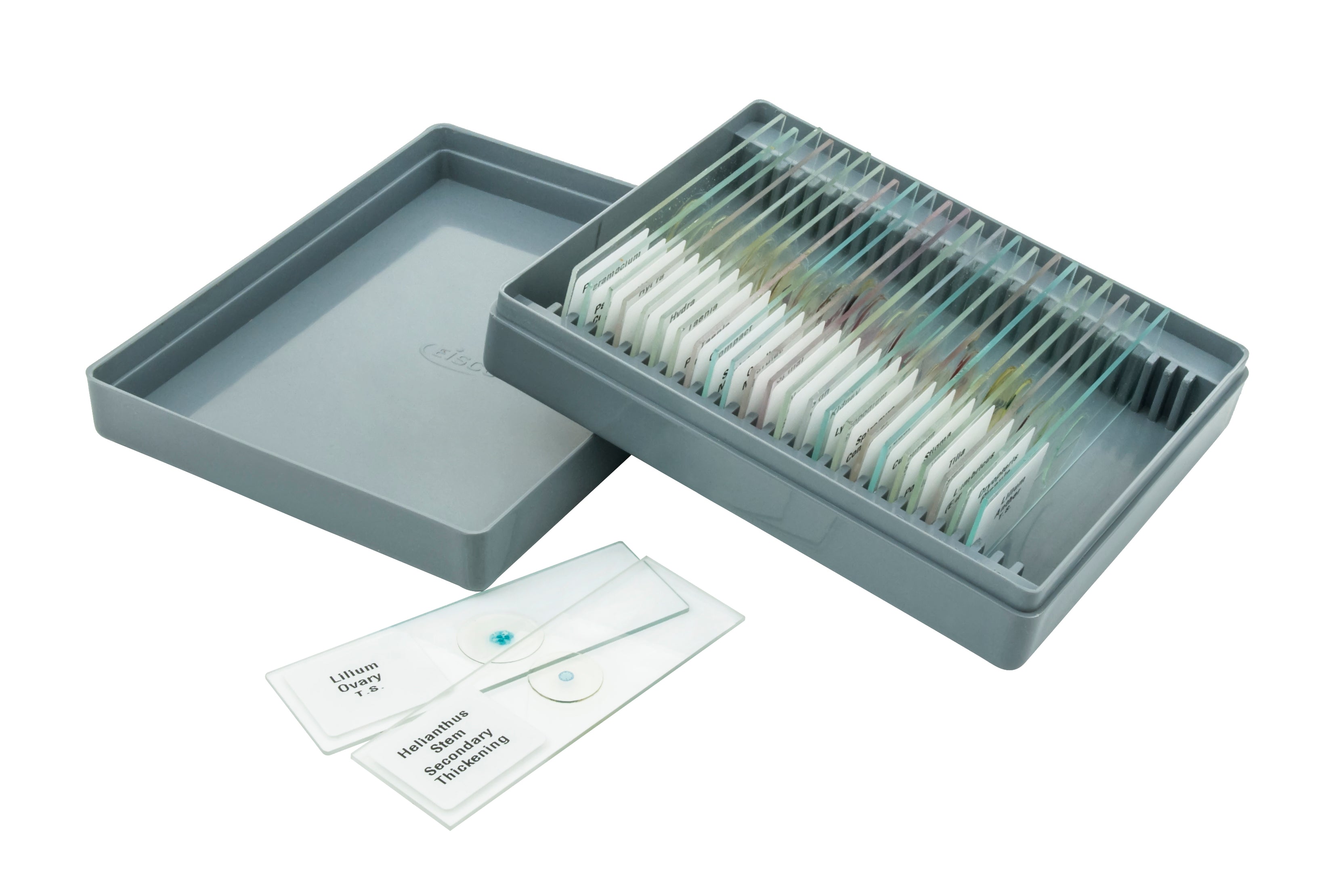 Microscope Slide Set - Biology, Set of 25 — Eisco Labs