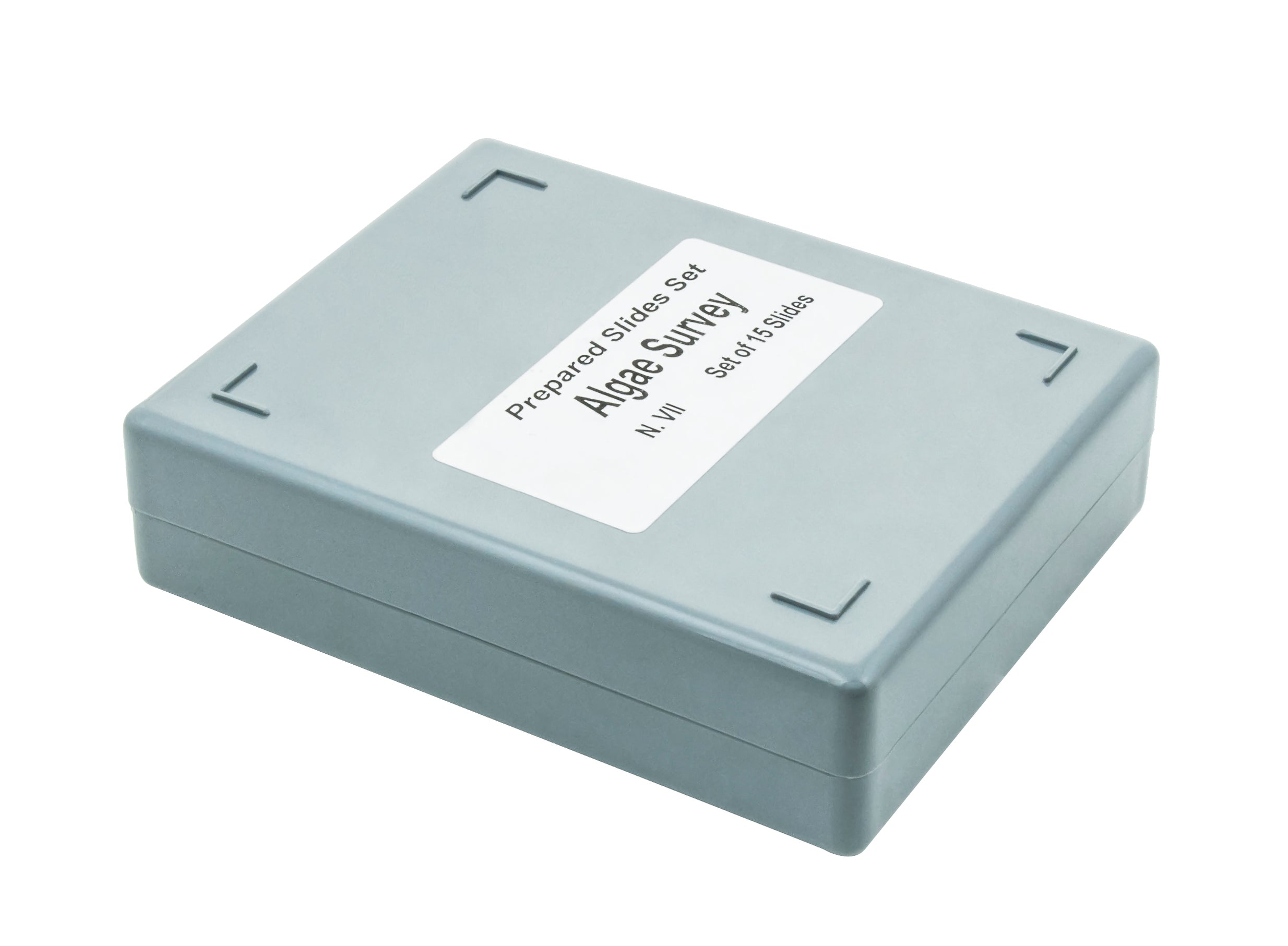 Microscope Slide Set Algae Survey Slide Set No VII, set of 15 Slides ...