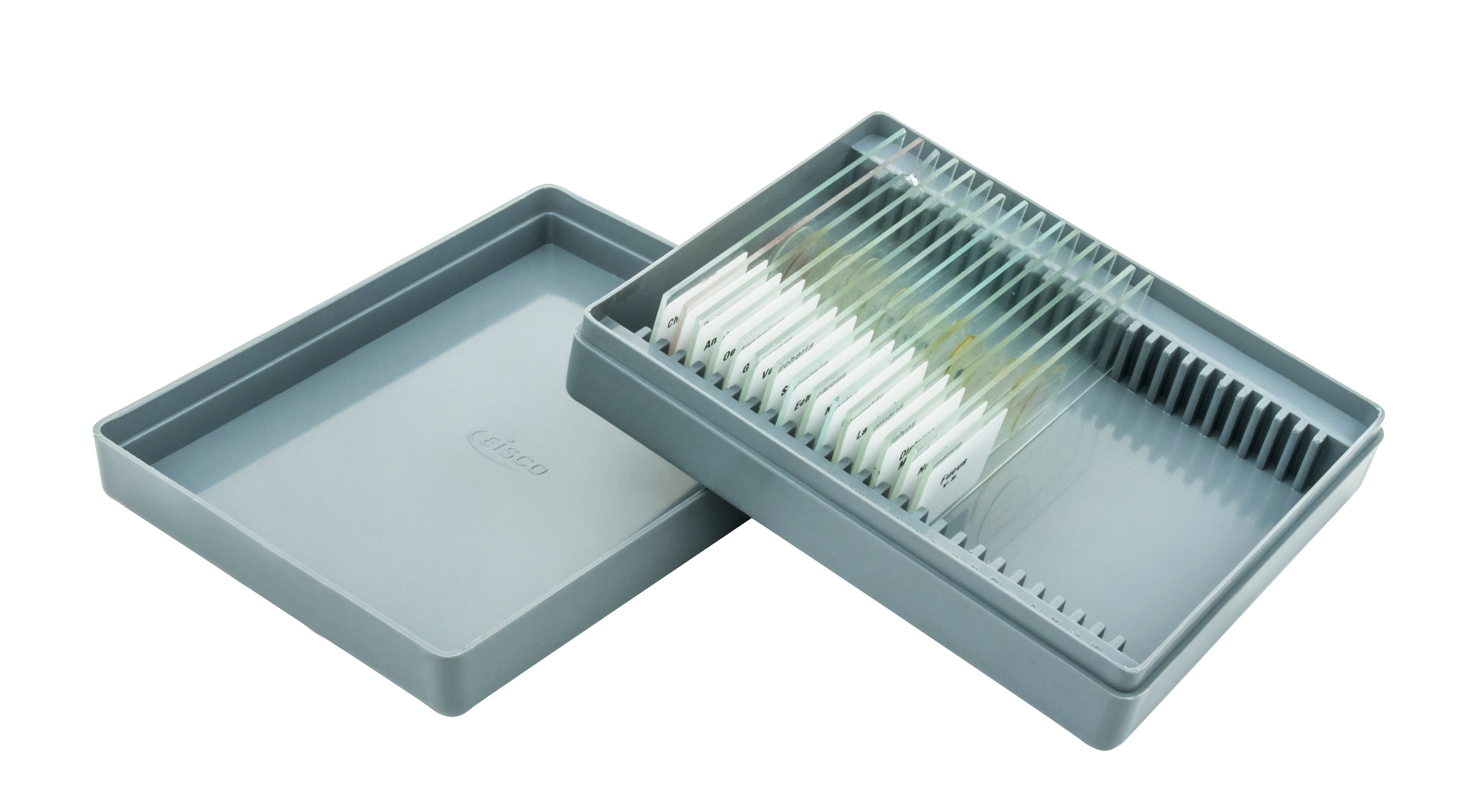 Microscope Slide Set Algae Survey Slide Set No VII, set of 15 Slides ...