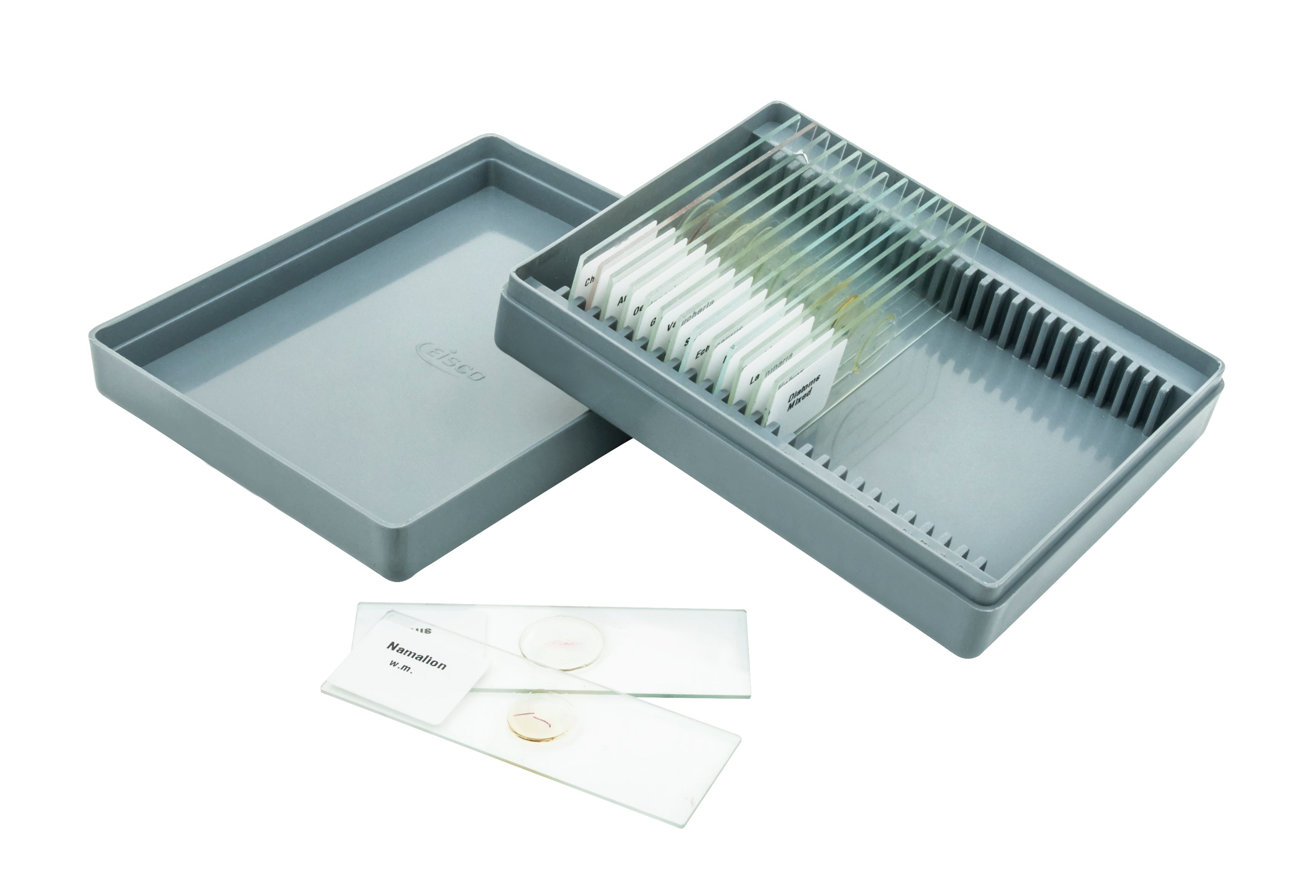 Microscope Slide Set Algae Survey Slide Set No VII, set of 15 Slides ...