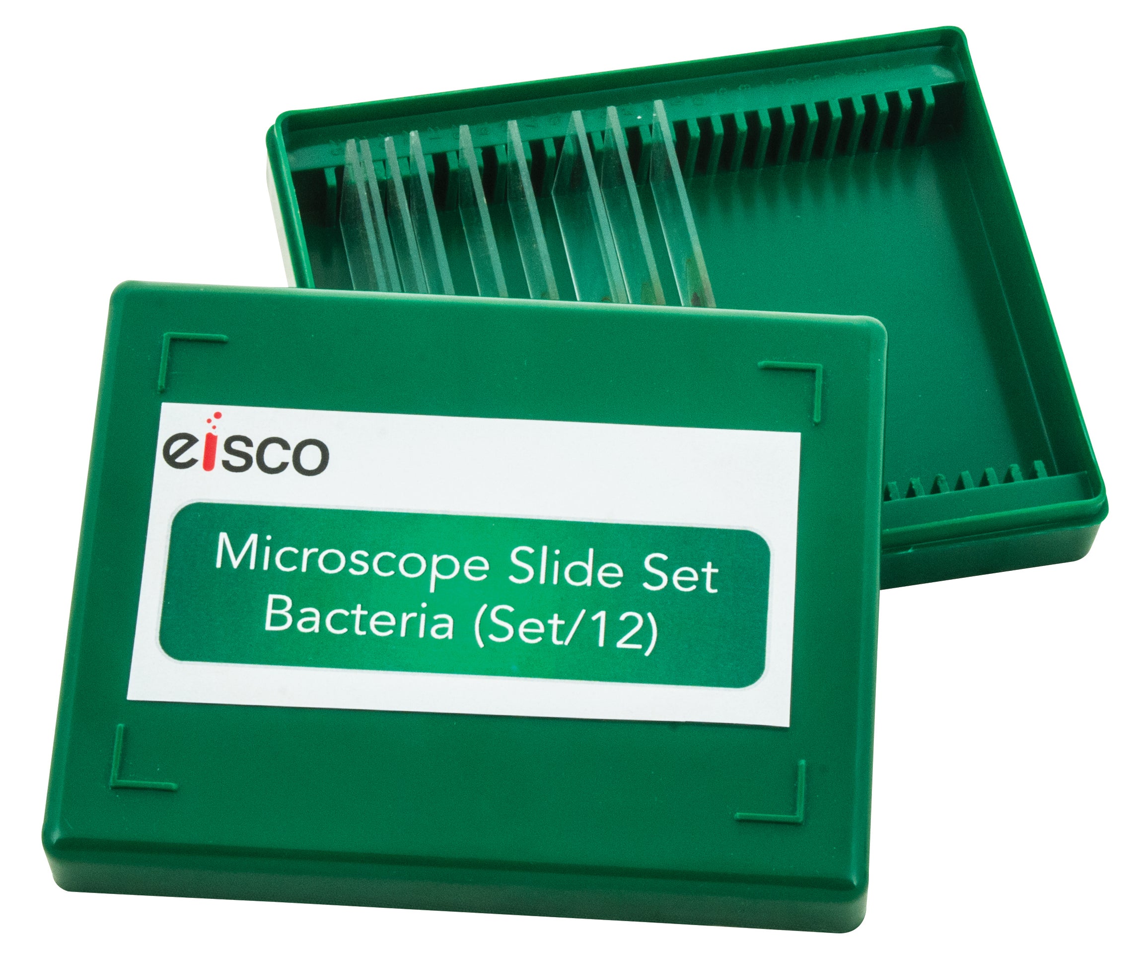Microscope Slide Set - Bacteria, Set of 12 — Eisco Labs