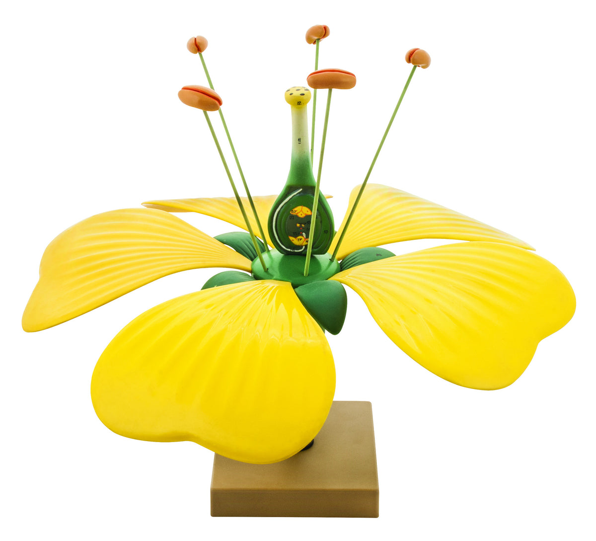 Typical Flower Model - Eisco Labs