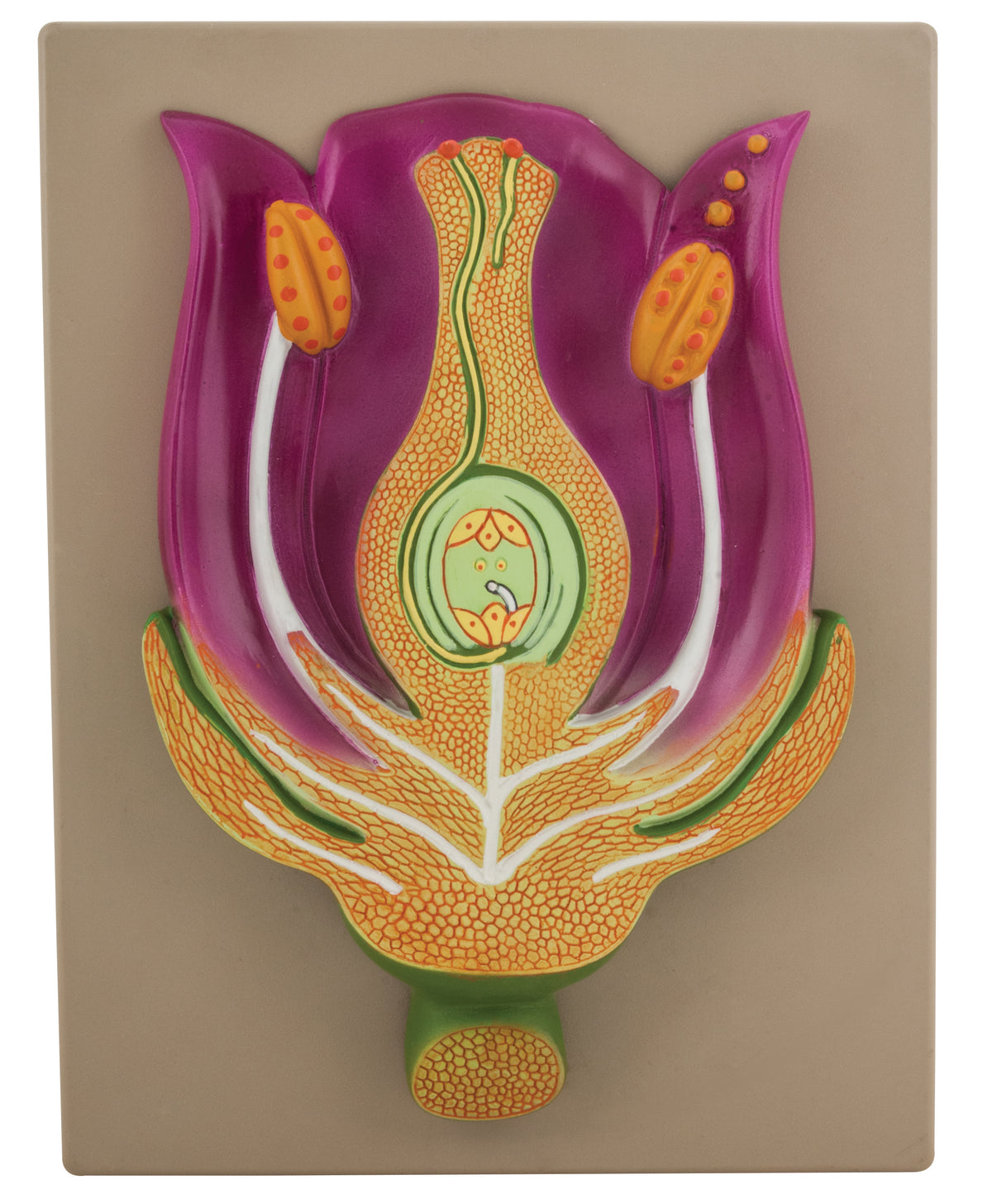 Model Typical Flower V.S. — Eisco Labs