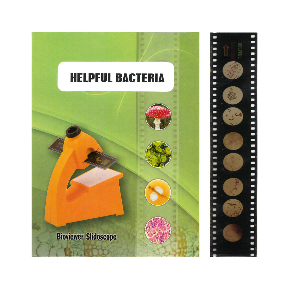 Bio Viewer Set - Bacteria, Protozoa & Virus - Helpful Bacteria — Eisco Labs