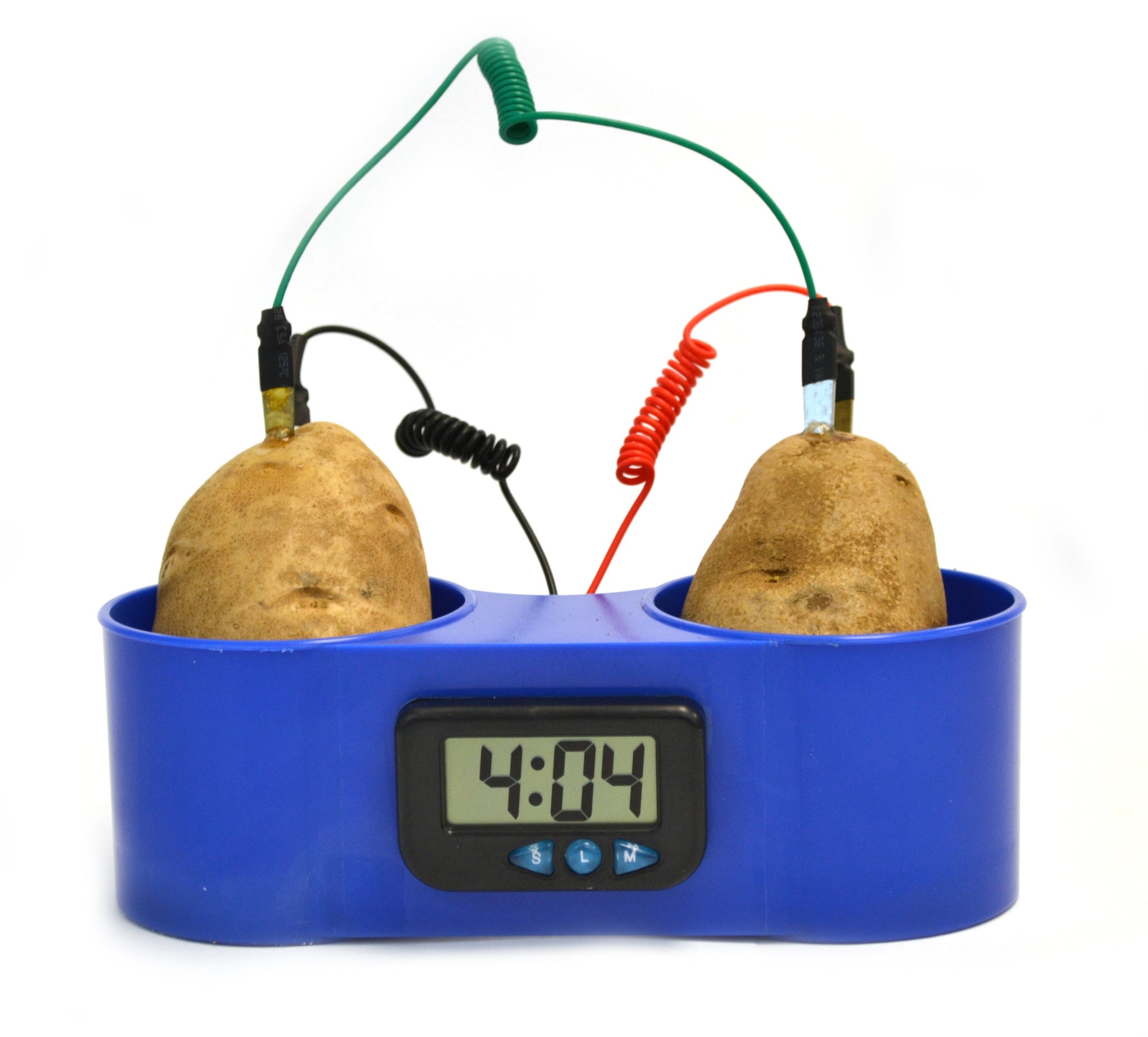 Premium Potato Clock with Activity Guide and Instructions — Eisco Labs