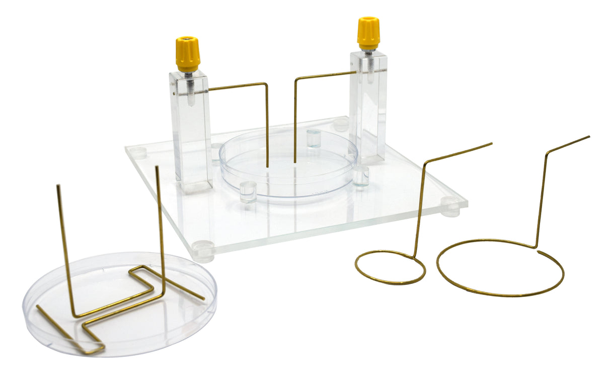 Electric Field Apparatus - For Demonstrating Electric Field Shapes - E ...