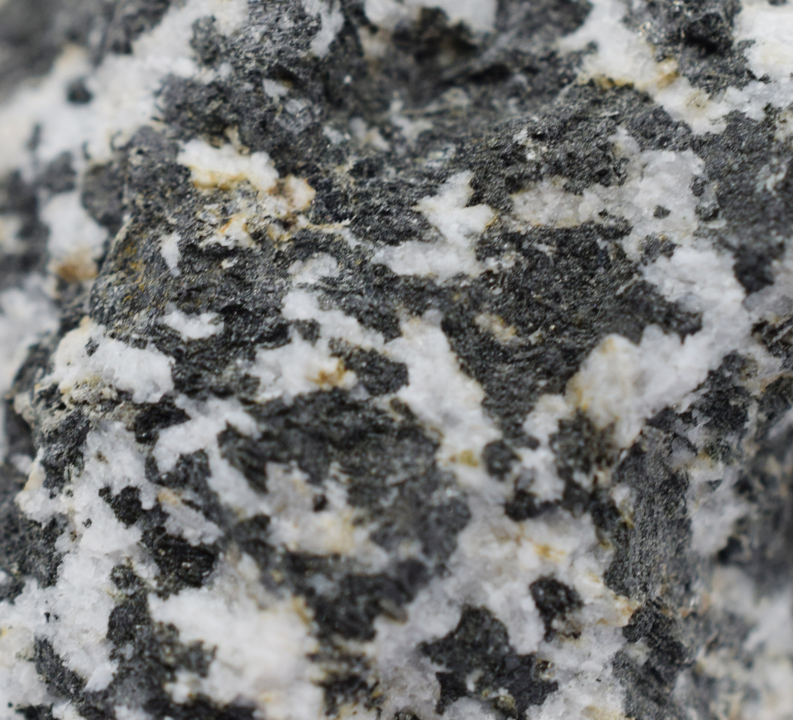 Raw Diorite, Igneous Rock Specimen - Approx. 1" — Eisco Labs