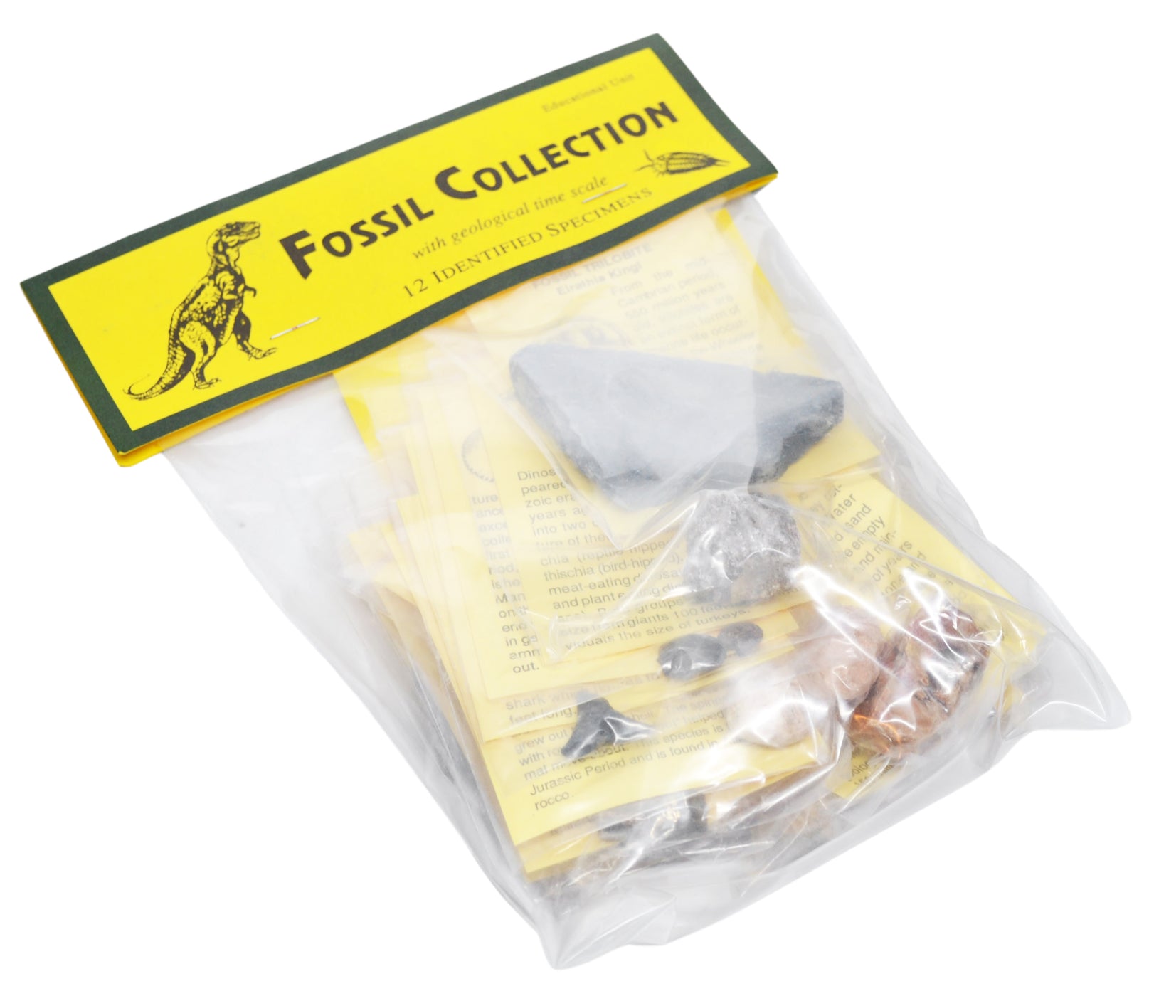 12 Piece Deluxe Fossil Collection - Includes 12 Samples, Information C ...