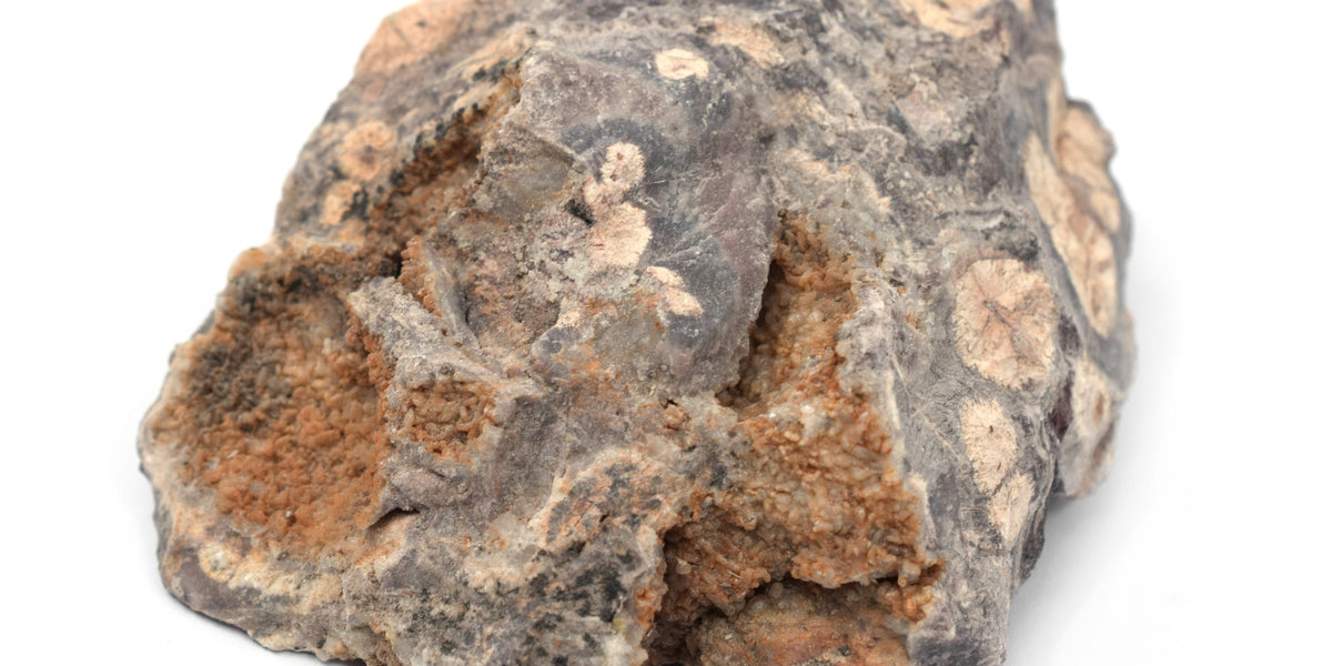 Raw Rhyolite, Igneous Rock Specimen - Hand Sample - Approx. 3" — Eisco Labs