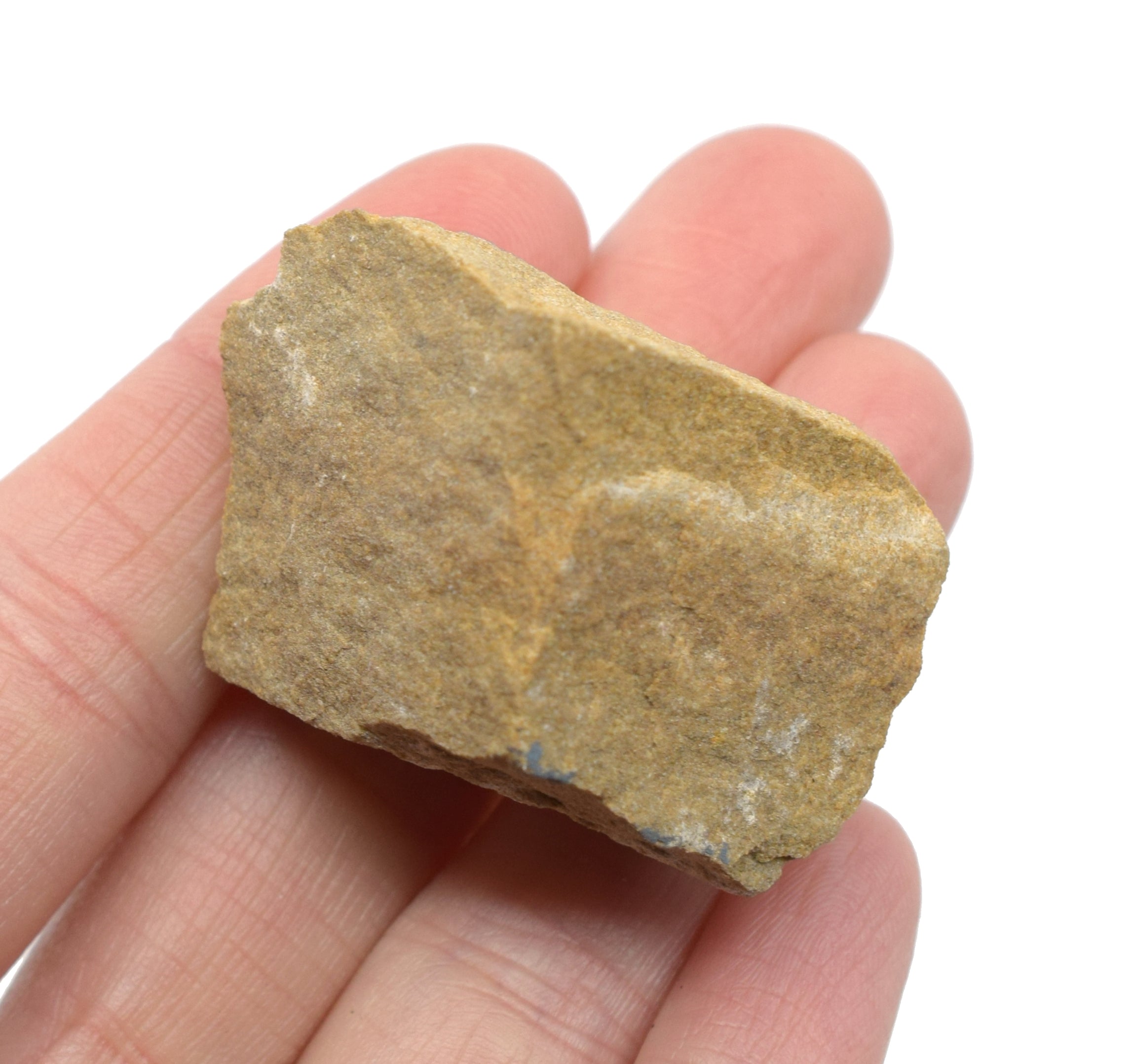 Raw White Sandstone Sedimentary Rock Specimen, 1" - Geologist Selected ...