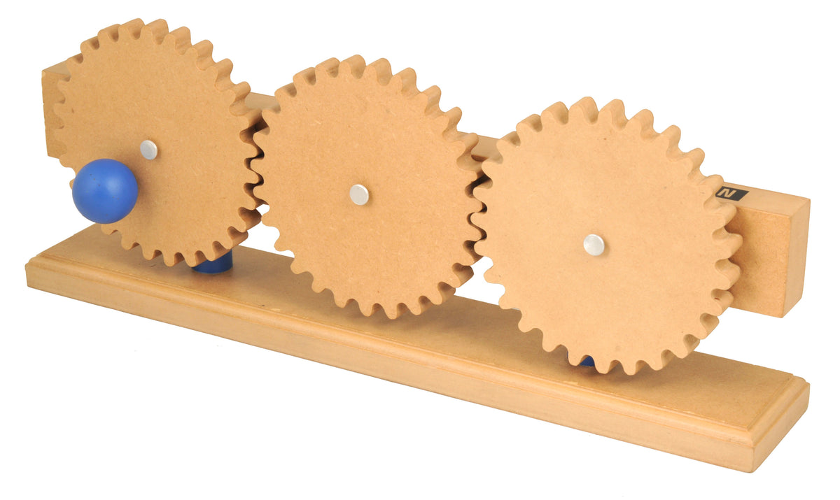 Gear Train Model, 16.25 Inch - Demonstrates How Gears Work - Simple Ma ...