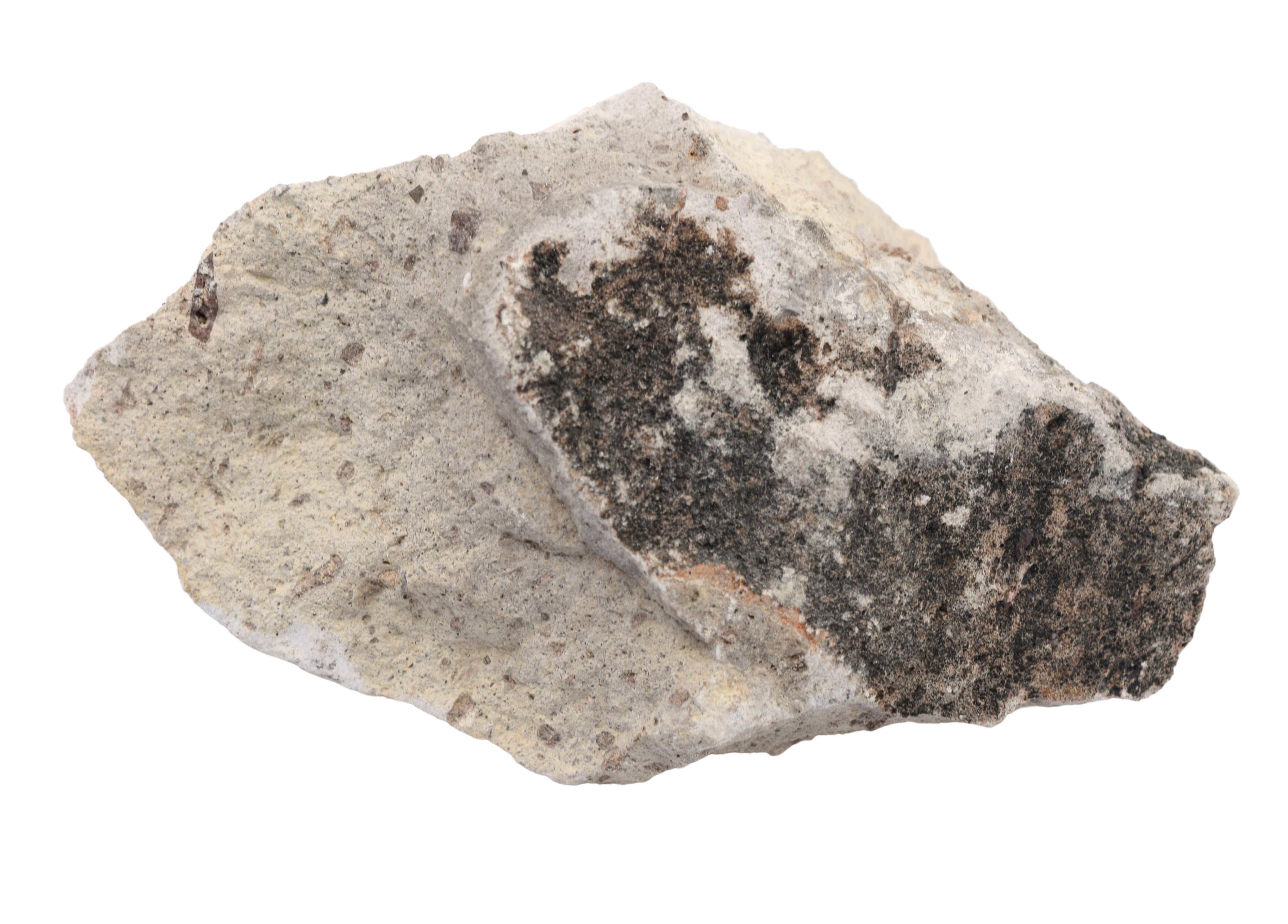 Raw Volcanic Tuff, Igneous Rock Specimen - Hand Sample - Approx. 3 ...