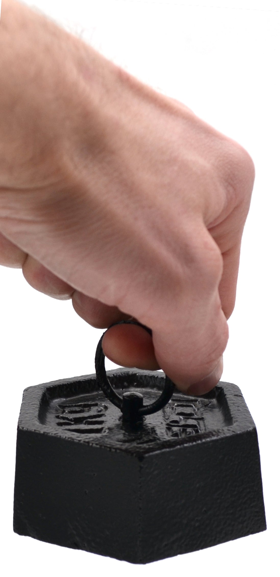 Iron Masses - Hexagonal with Lifting Ring - 1000g - Eisco Labs