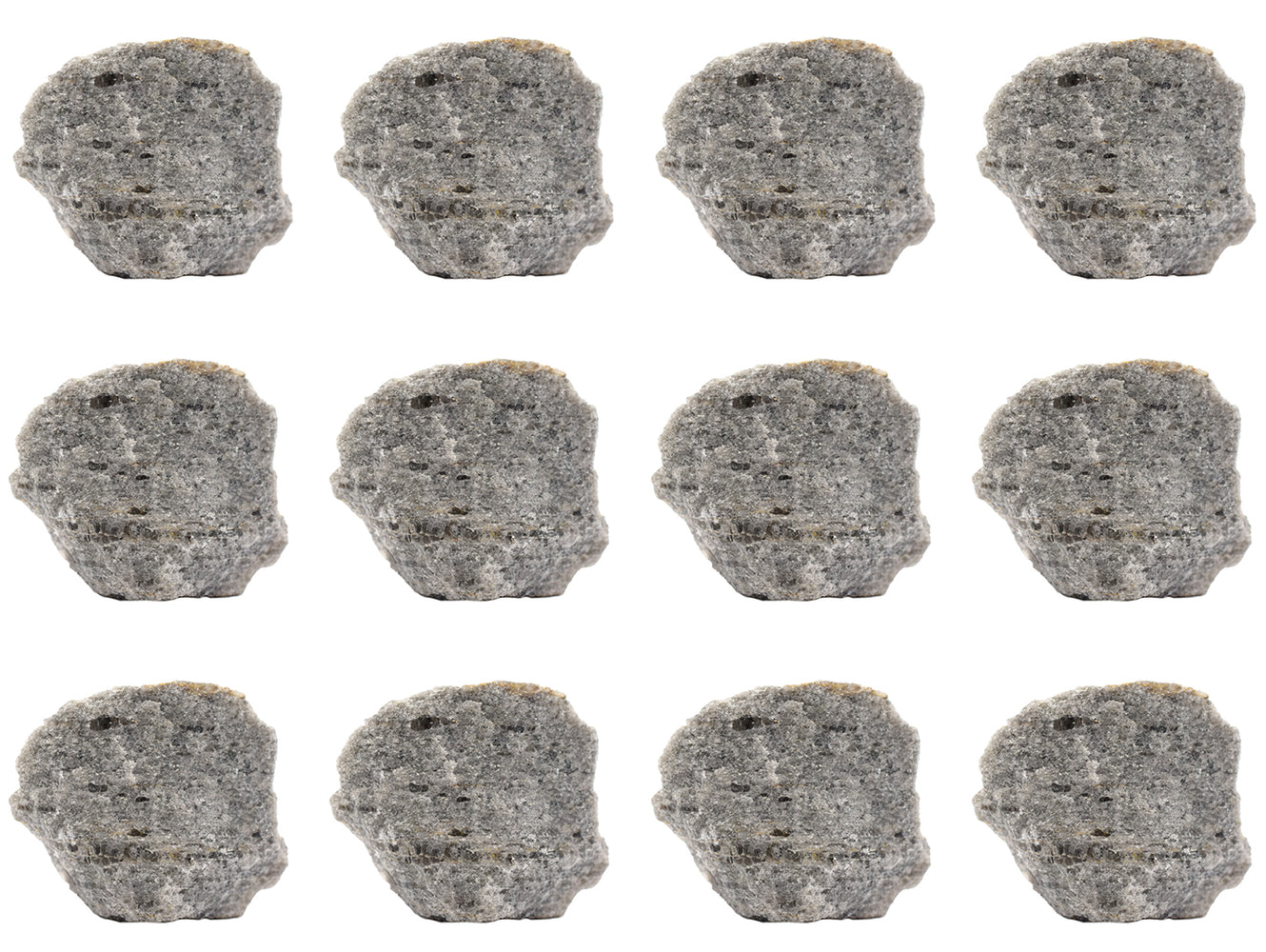 Graphite Schist
