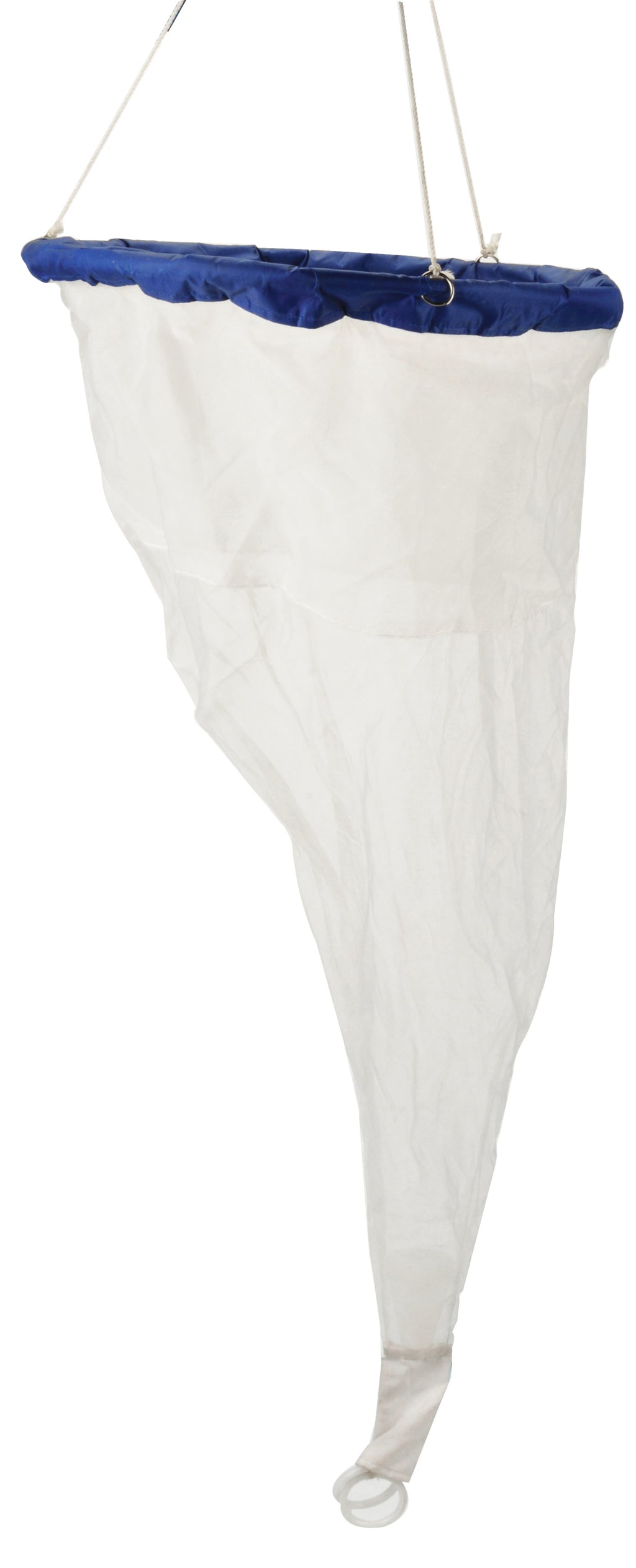 Entomology Supplies — Eisco Labs