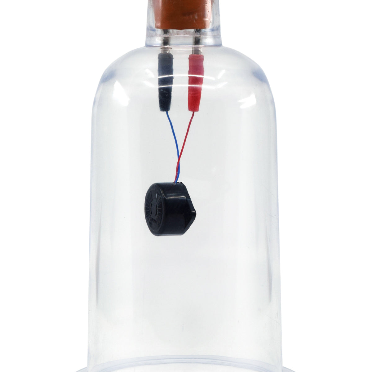 Bell in Vacuum Experiment Apparatus — Eisco Labs