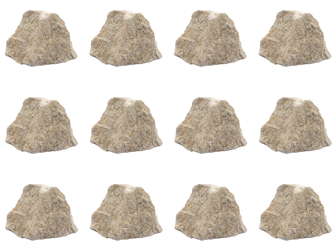 Pet Rocks For Adults EISCO Raw Conglomerate Rock Samples - 6-Pack ...