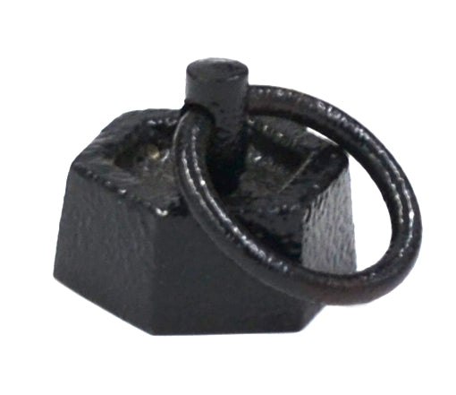 Iron Masses - Hexagonal with Lifting Ring - 50g - Eisco Labs