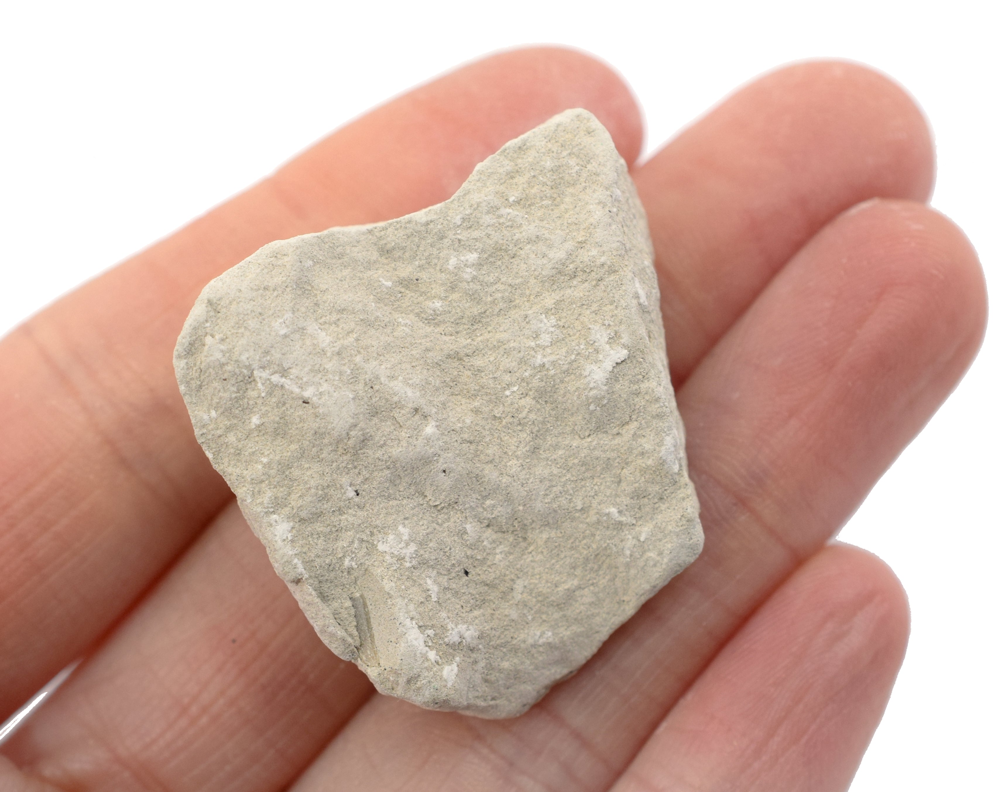 Raw Limestone Chalk, Sedimentary Rock Specimen - Approx. 1" - Geologis ...