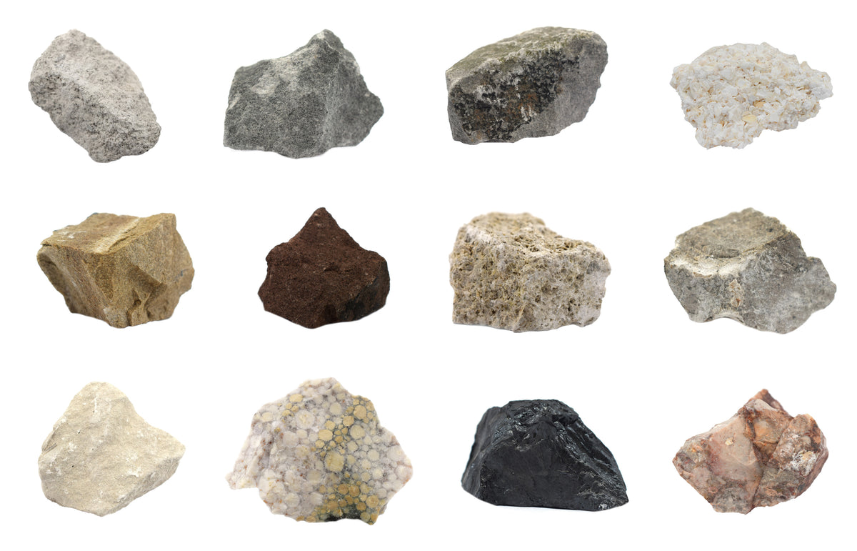 Introduction to Sedimentary Rocks Kit, 12 Specimens - Includes Storage ...
