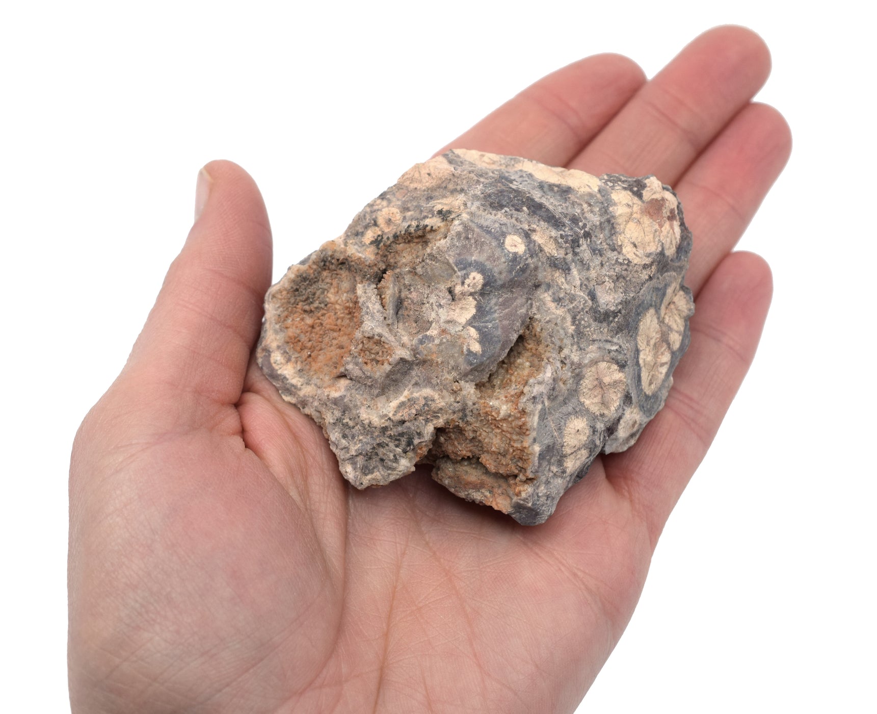Raw Rhyolite, Igneous Rock Specimen - Hand Sample - Approx. 3" — Eisco Labs