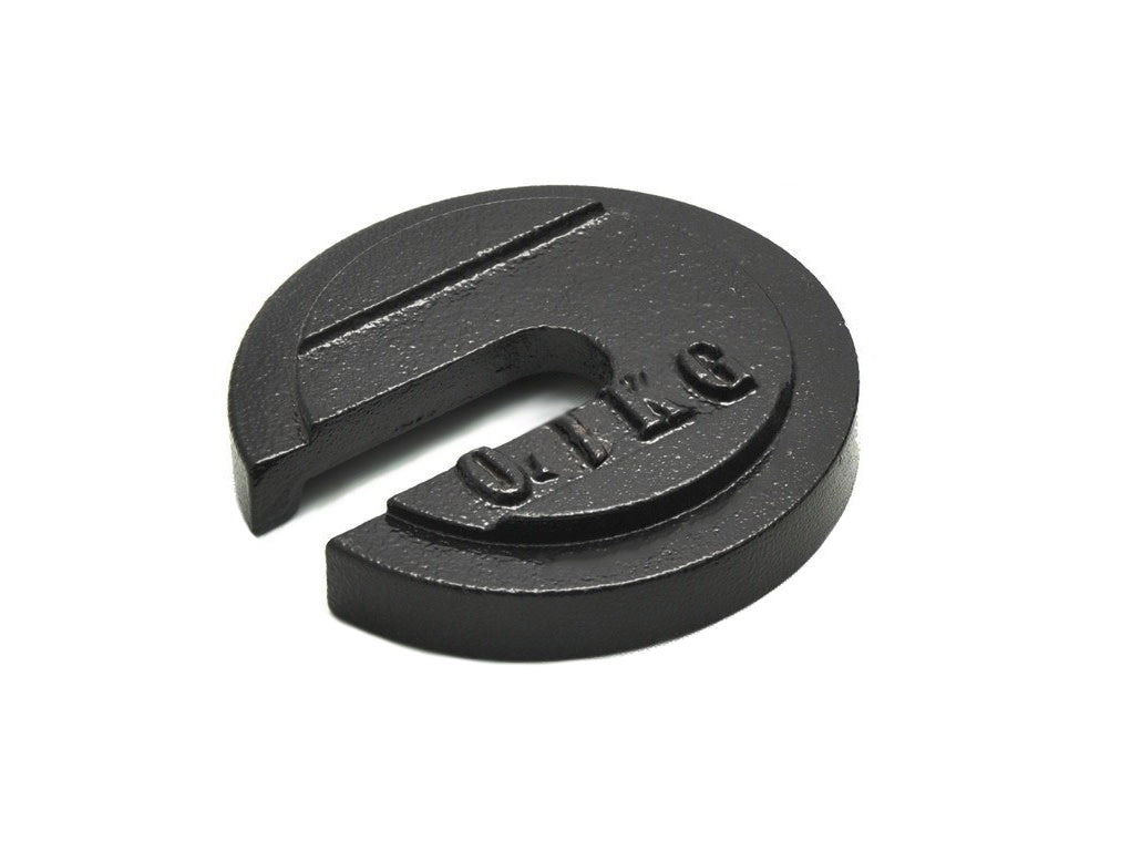 Individual Slotted Weight - Cast Iron, Spare Weight - 100 g — Eisco Labs